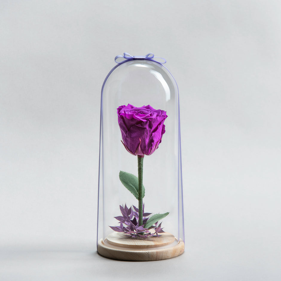 Eternal Roses – Charly Floral